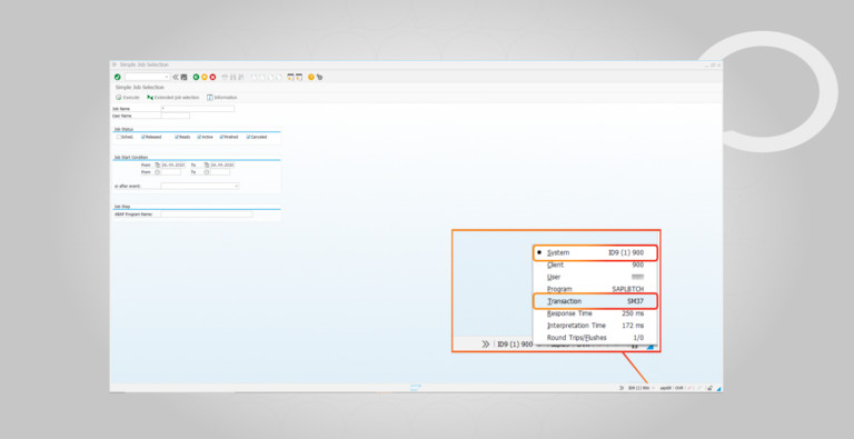 How do I see the current system and transaction in SAP? - Hicron