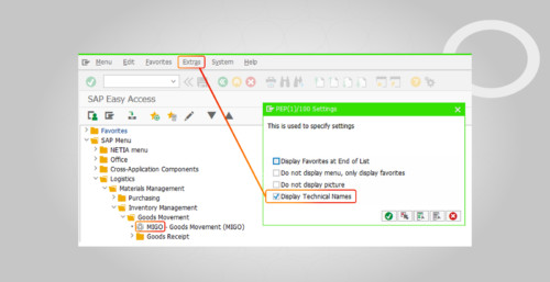 How do you display transaction code in SAP? - Hicron