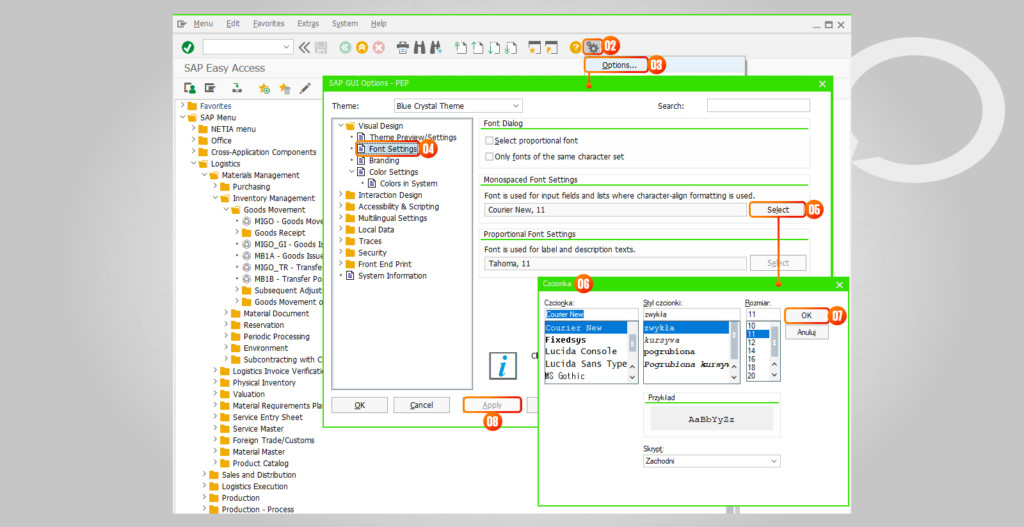 How do i change font size in the SAP window? - Hicron