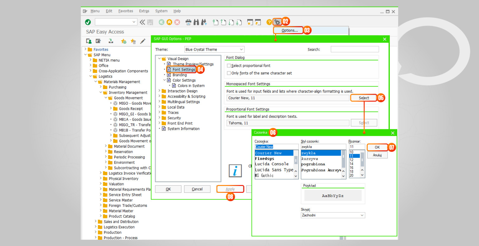 How do i change font size in the SAP window? - Hicron
