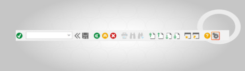 How do you show technical names of the documents on the dropdown lists in SAP? - Hicron