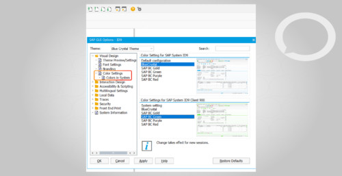 How do i change the display color in SAP? - Hicron