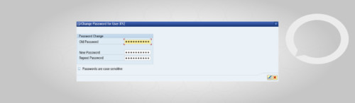 How to change your SAP password? - Hicron