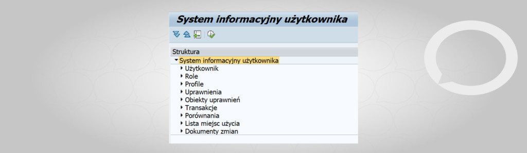 Jak sprawdzić role w SAP? - Hicron