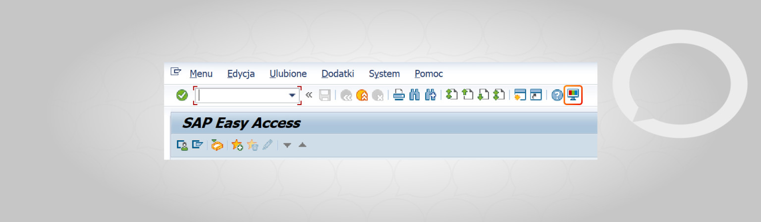 Jak zmienić wygląd w SAP? - Hicron