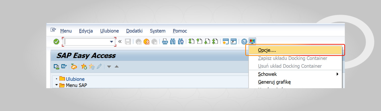 Jak zmienić wygląd w SAP? - Hicron