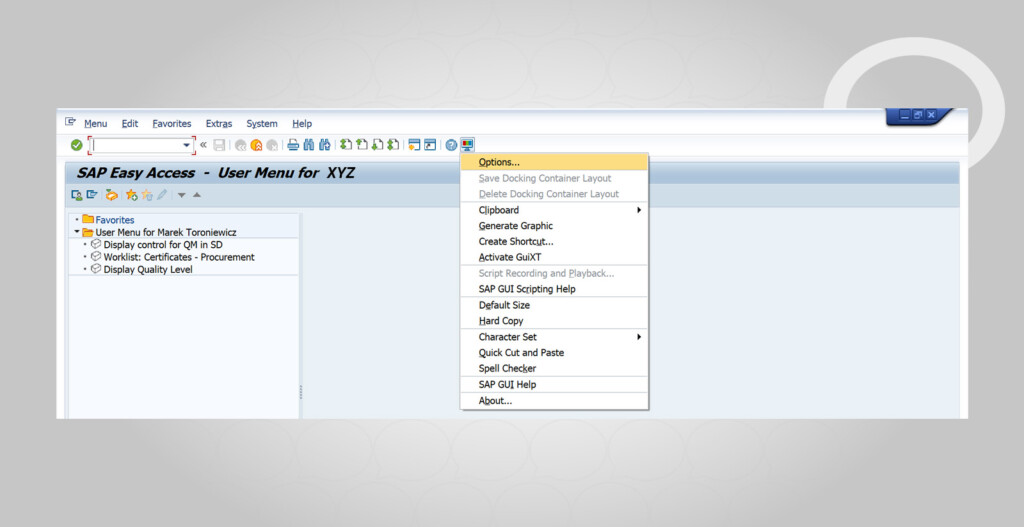 Jak zmienić język w SAP? - Hicron