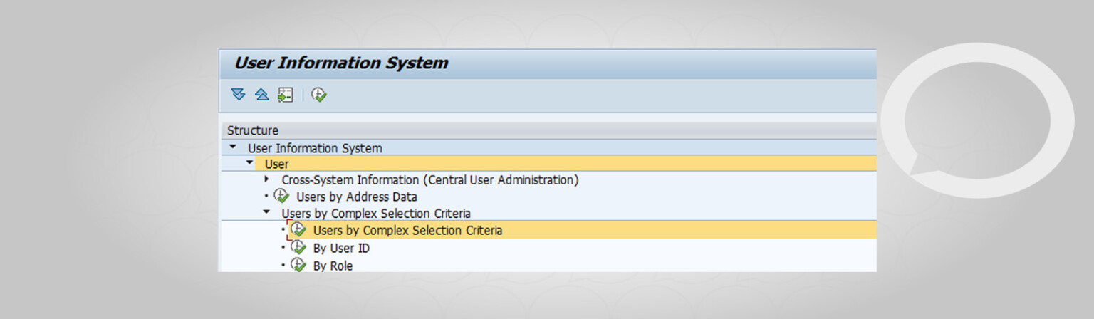 How to check authorizations in SAP? - Hicron