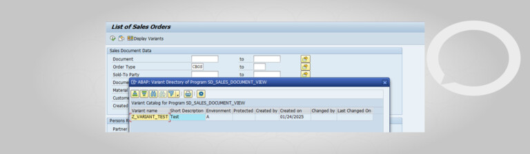 How to create a variant in SAP? - Hicron