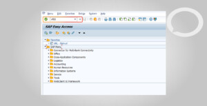 What is a transaction in SAP? - Hicron